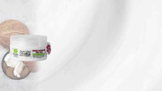 HEMPZ PETZ Creamy Citrus Orange Red Raspberry Dog Paw Balm, 2-oz jar ...