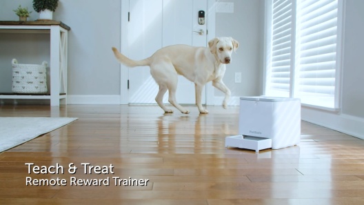 PETSAFE Teach & Treat Remote Treat Dispenser, White, White - Chewy.com