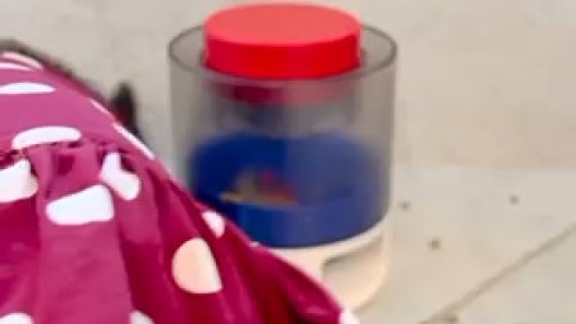 PIGGY POO AND CREW Treat Popper Game Farm Toy Medium - Chewy.com