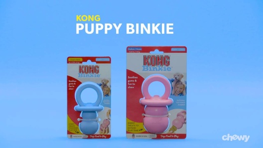 KONG Puppy Binkie Chew Dog Toy, Blue, Medium - Chewy.com