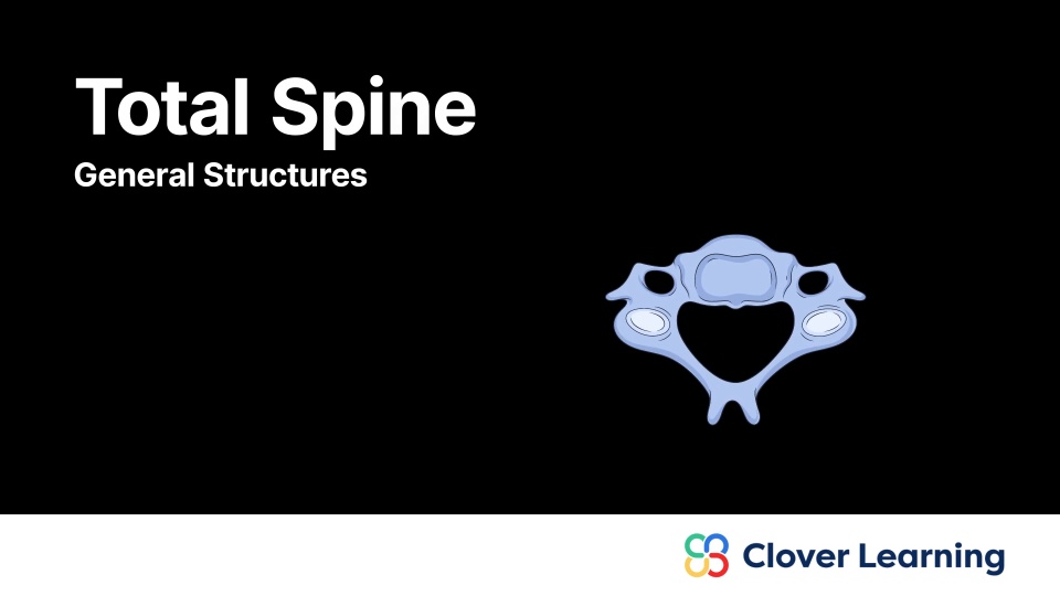 Total Spine: General Structures (Anatomy) | Video Lesson | Clover Learning