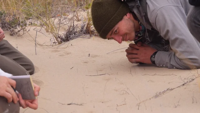 The Immersion at Wilderness Awareness School