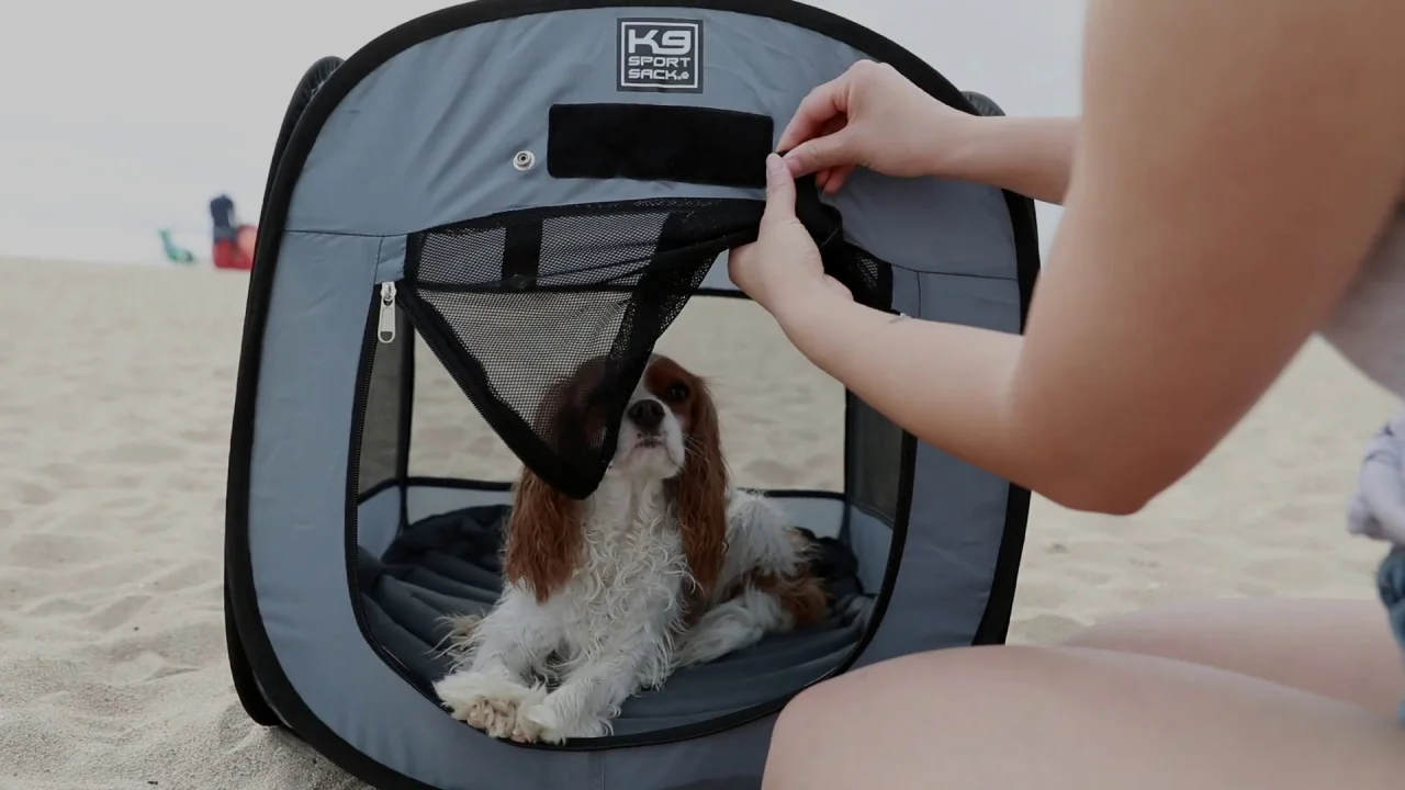 How Do You Break A Puppy Sack