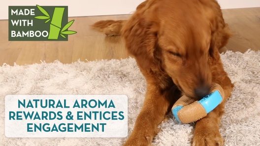 Discontinued - KONG CoreStrength Bamboo Bone Dog Chew Toy, Green, Large ...