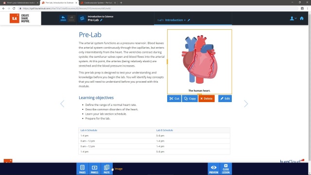 Lt LabStation Support | ADInstruments