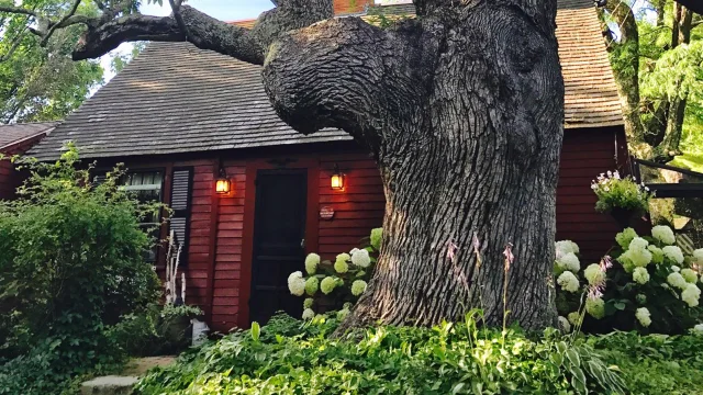 Pickity Place — Video