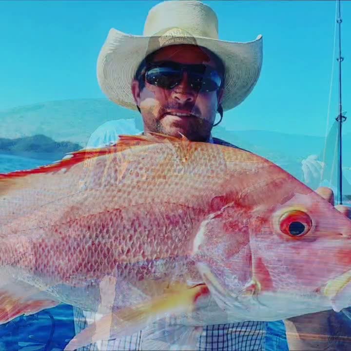 A1 Fishing Charters & Tours Whitsundays - Updated 2024 Prices