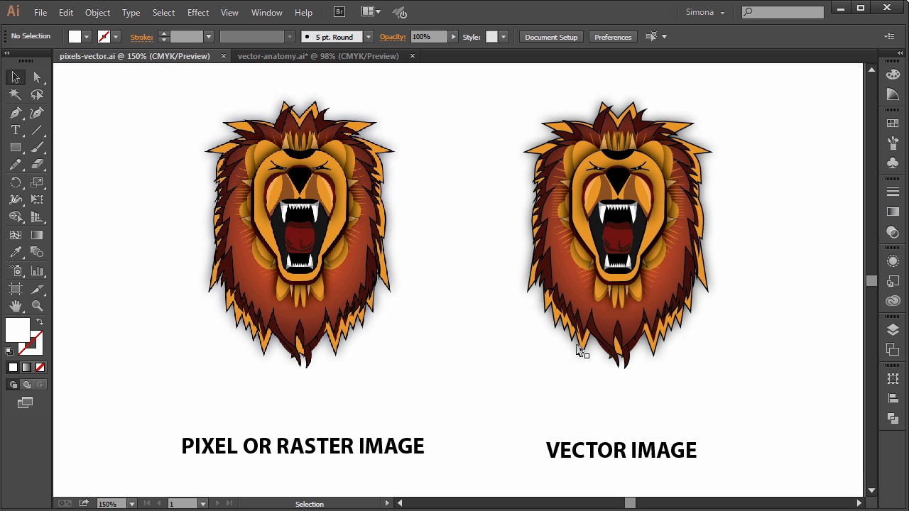The Fundamentals of Adobe Illustrator - Pixels vs. Vector, and the ...