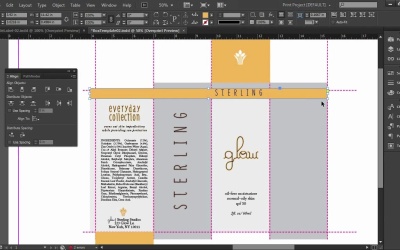 Introduction to Package Design - Box Design Part Two