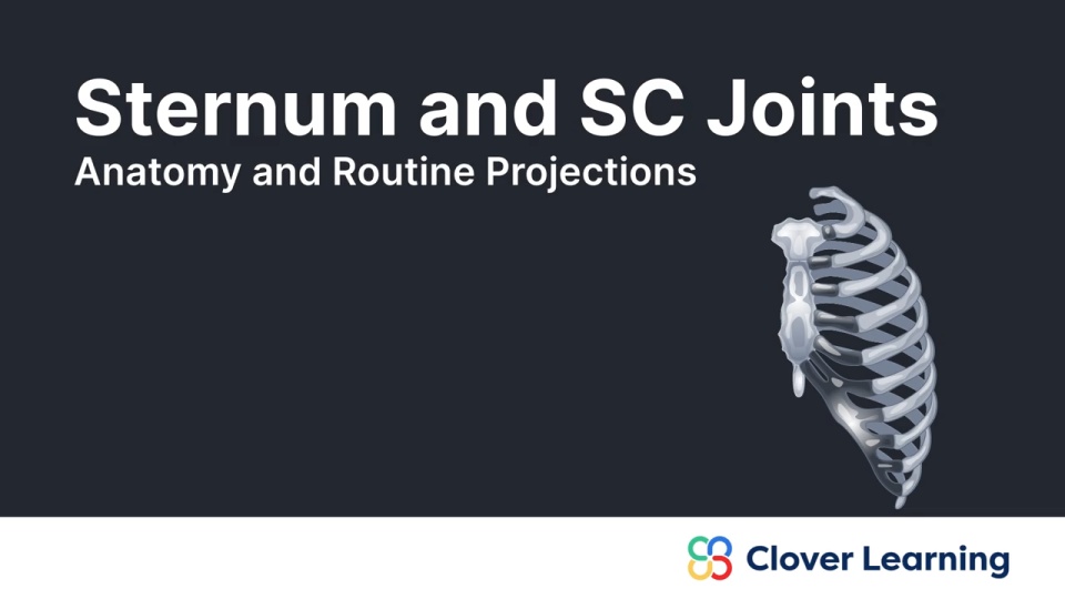 Sternum & SC Joints: Anatomy & Routine Projections | Video Lesson ...