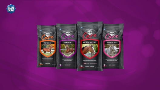 KENT / BLUE SEAL Sentinel Care - Omegatin Horse Food, 40-lb bag - Chewy.com