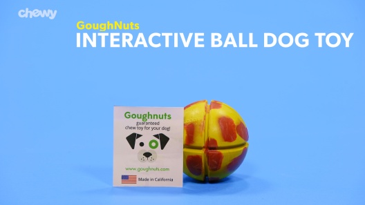 GOUGHNUTS Interactive Ball Dog Toy, Orange - Chewy.com