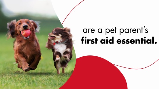 MIRACLE CARE Kwik Stop Styptic Gel Swabs for Dogs, Cats, & Birds ...