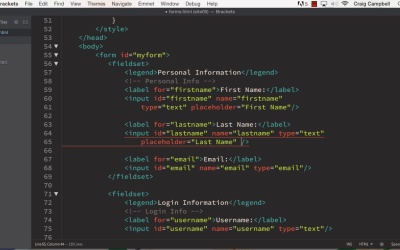 Solid HTML Form Structure - Placeholder Text