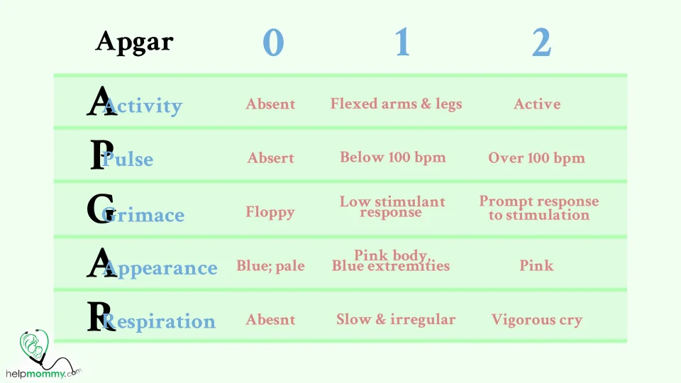Apgar Score Chart