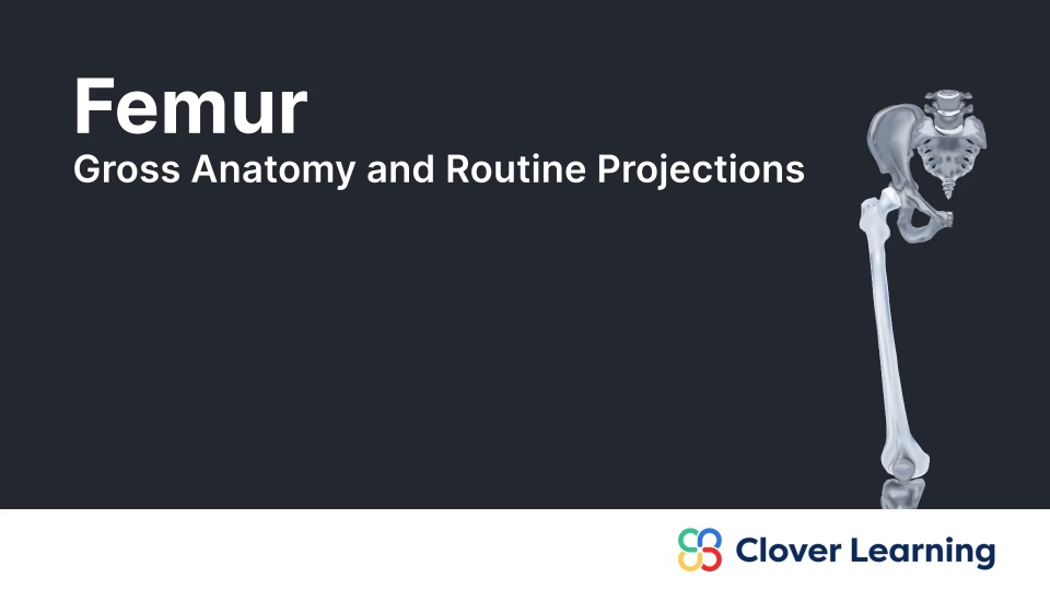 Femur: Anatomy & Routine Projections | Video Lesson | Clover Learning