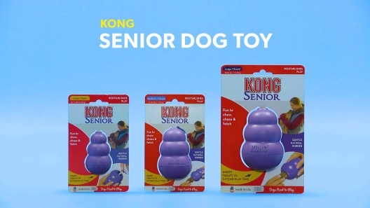 KONG Senior Dog Toy, Medium - Chewy.com