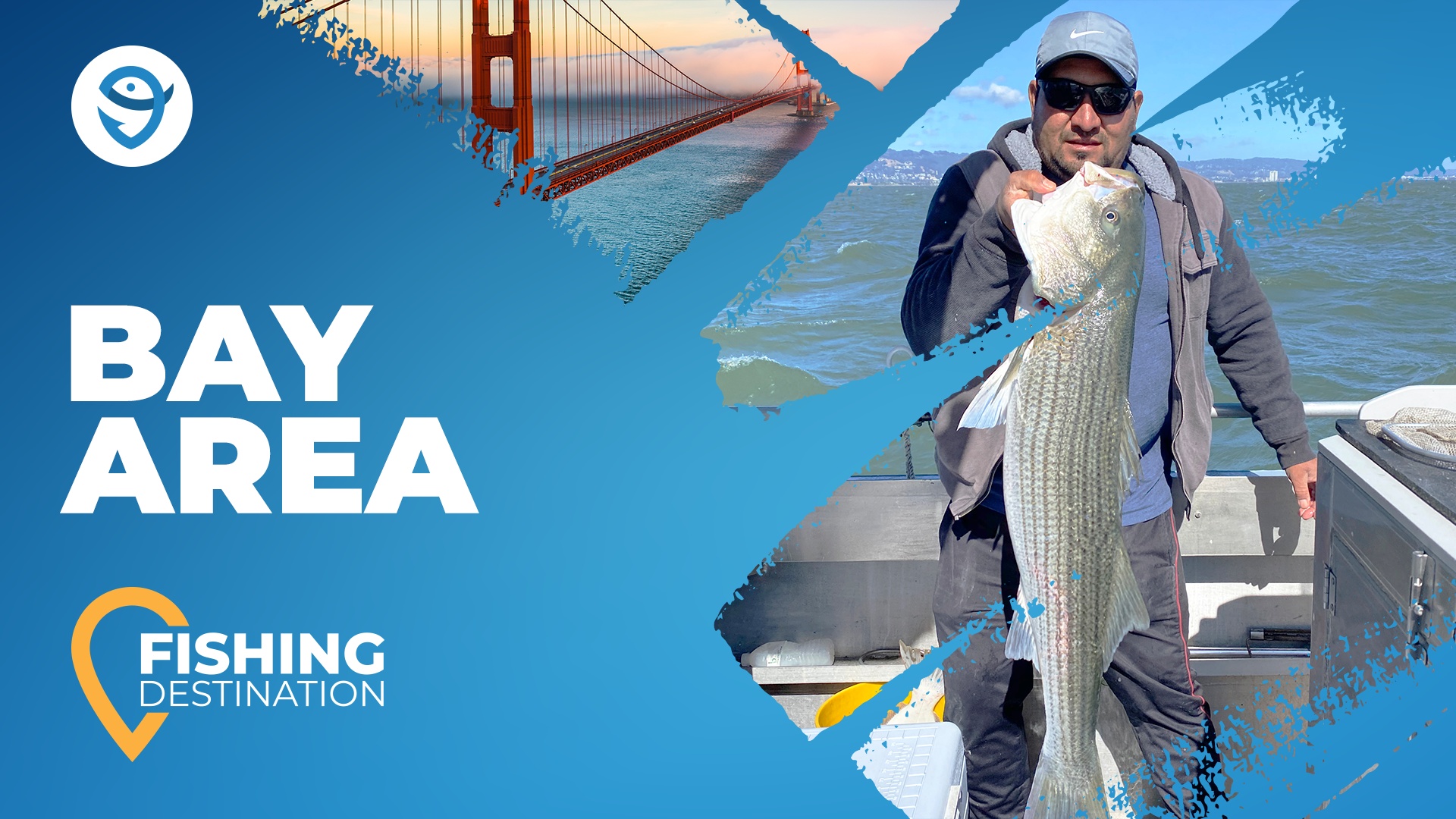 Bay Area Fishing: The Complete Guide (Updated 2023)