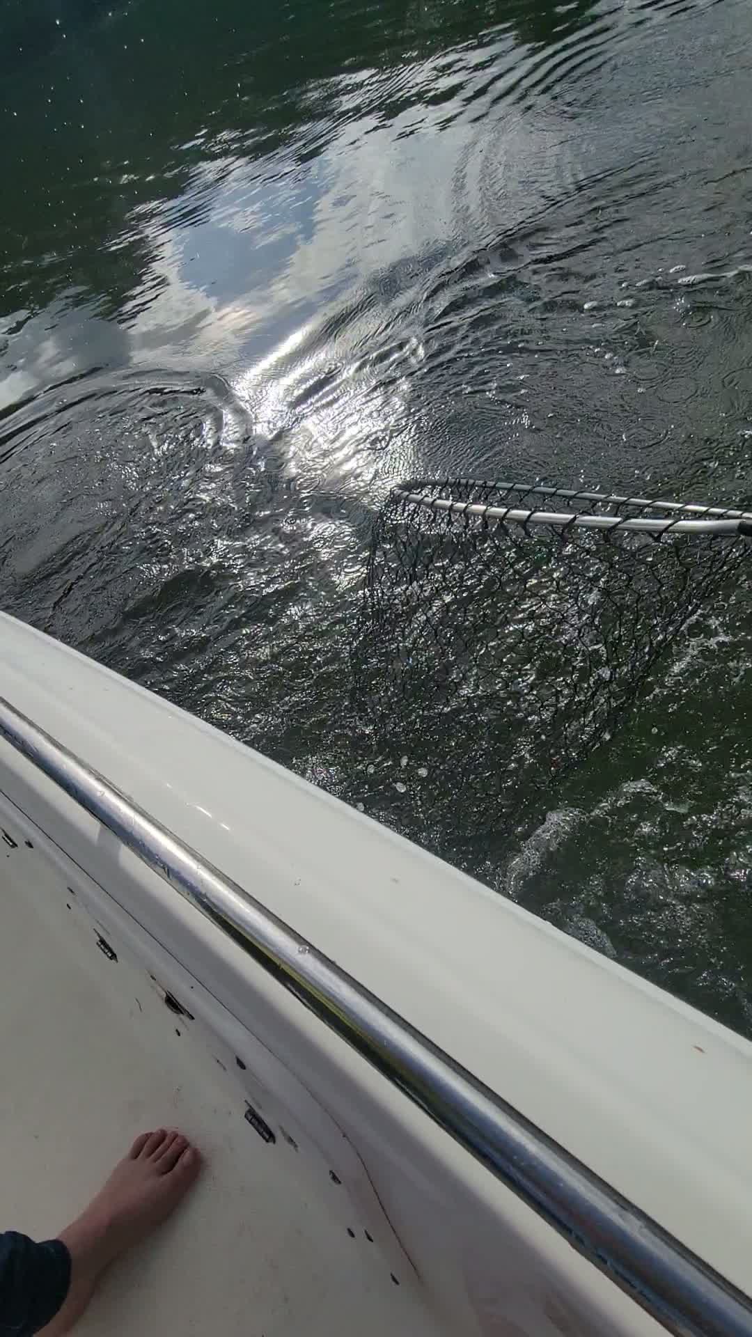 Florida Professional Charters - Updated 2024 Prices