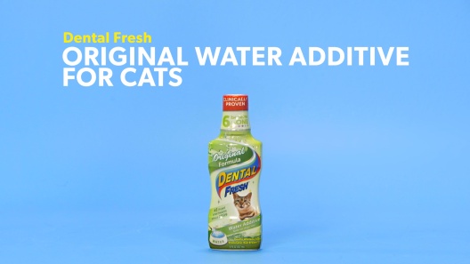 DENTAL FRESH Original Formula Cat Dental Water Additive, 8-fl oz bottle ...