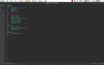 CSS: Flexbox Essentials - Styling the Layout