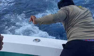 El Patrón – Water adventure (Puerto Morelos) - Updated 2022 Prices ...