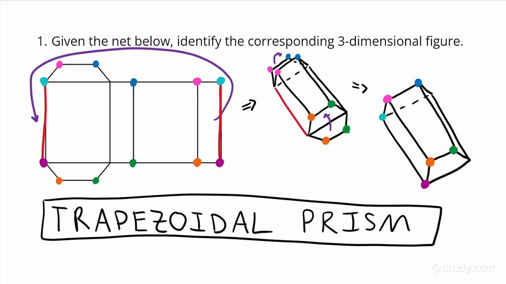 Determining 3-Dimensional Figures from their Net | Geometry | Study.com