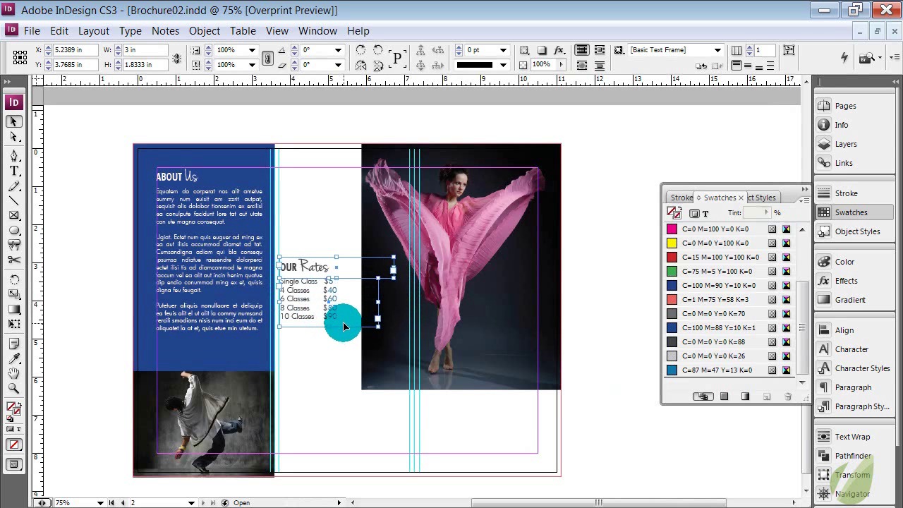 Fundamentals of Print Design - Course Project: Brochure Part Two