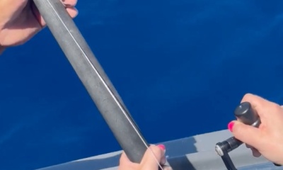 Monster blue marlin! Caught a lot of fish - Review of Jackson ...