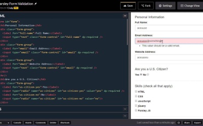 Form Validation With Parsley - Email and URL Validation
