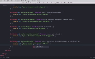 Learn Cycle2 for jQuery From Top to Bottom - Cycle States and Hash