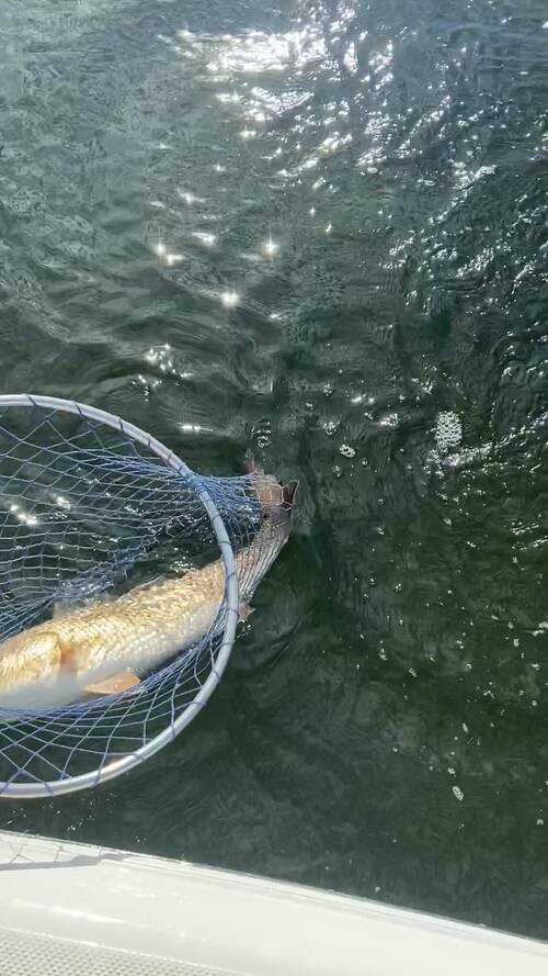 Best Catch Fishing – Inshore & Nearshore - Updated 2024 Prices