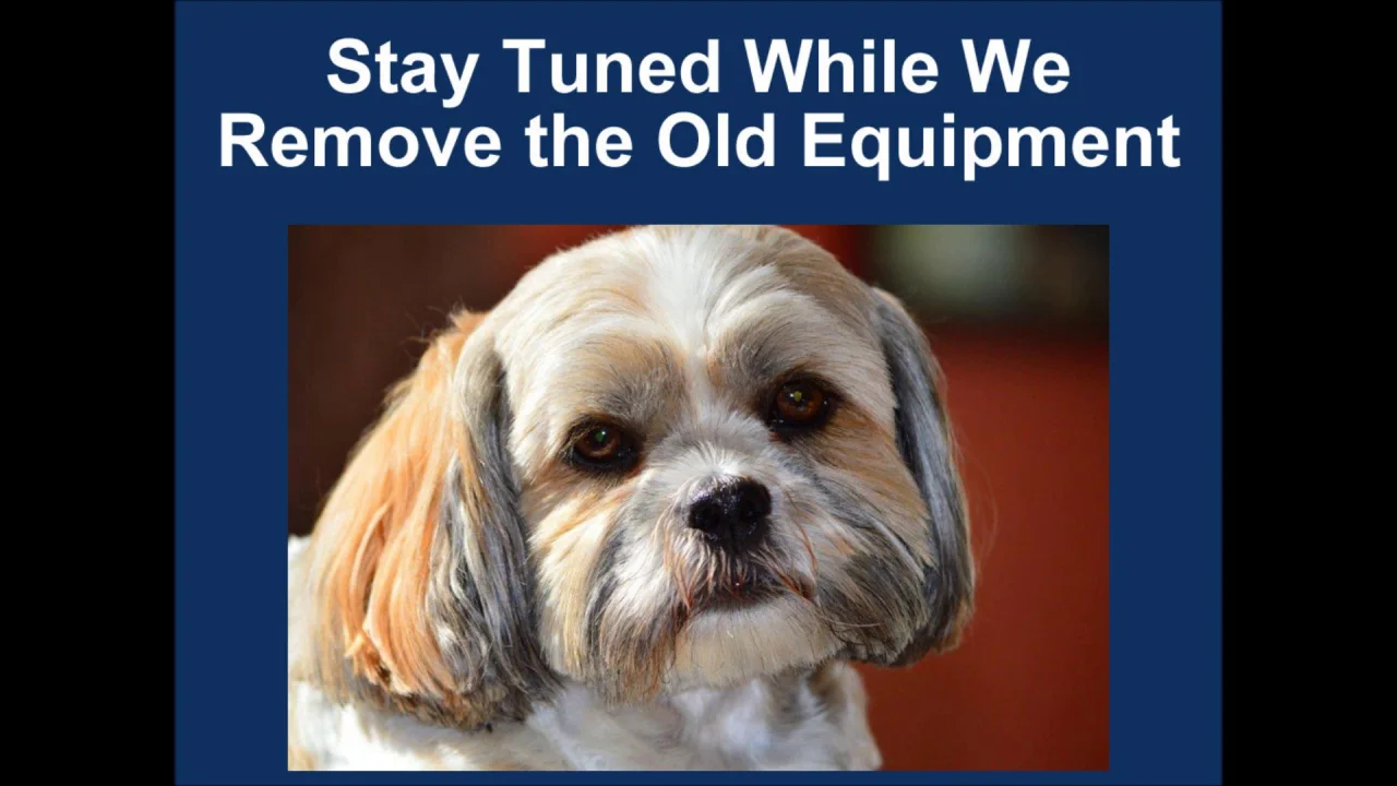 Stay On Oil How To Use Video