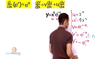 Exponential Functions | VividMath — AU