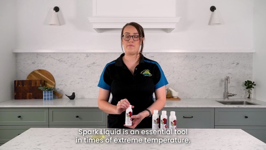 VETAFARM Spark Liquid Concentrate Bird Supplement, 4.2-oz bottle ...