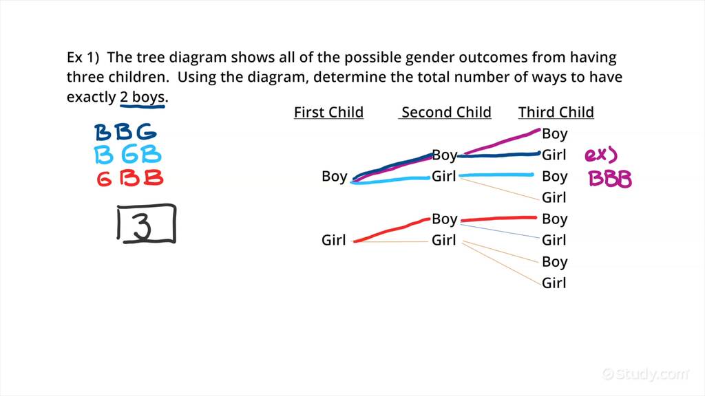 Interpreting a Tree Diagram | Algebra | Study.com