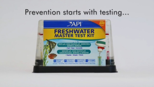 API Freshwater Aquarium Master Test Kit, 800 count - Chewy.com