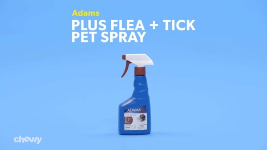 ADAMS Plus Flea & Tick Spray for Dogs & Cats, 16-fl oz bottle - Chewy.com