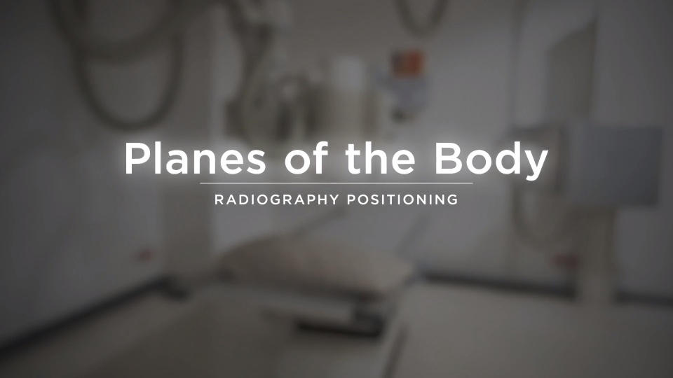 Body Planes | Video Lesson | Clover Learning