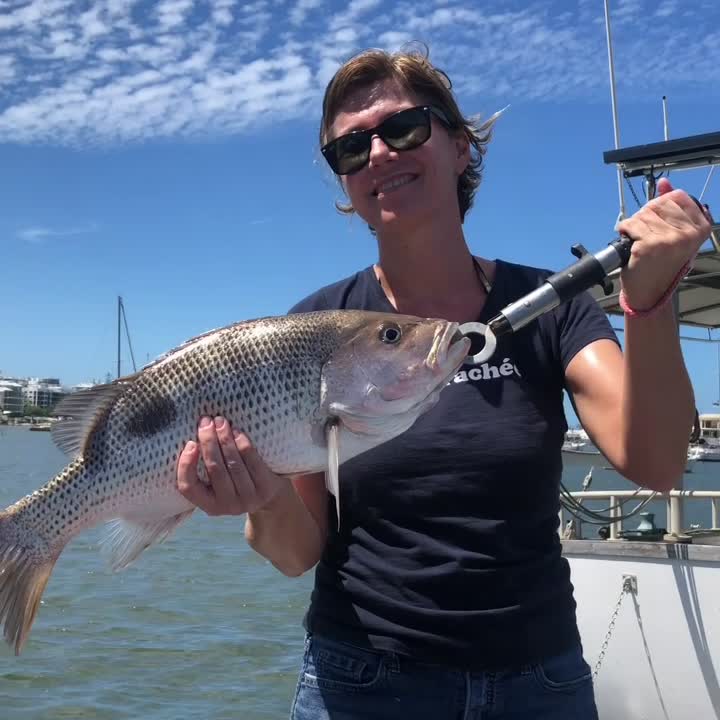 Fishing Smooth Water – Mooloolaba - Updated 2023 Prices