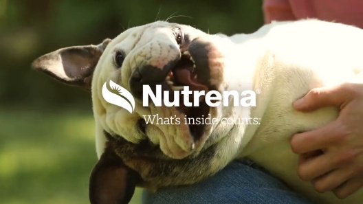 NUTRENA Hi Pro Chicken 12% Protein Scratch Grains & Protein Pellets, 7 ...