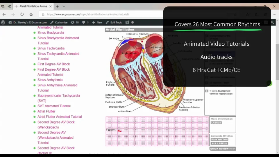 Animated Rhythms Course (6 hrs Cat I CME/CE) | myCME