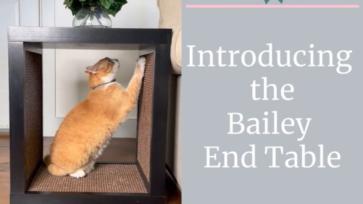 DESIGNER PET PRODUCTS Bailey Cat Scratcher End Table, Driftwood - Chewy.com
