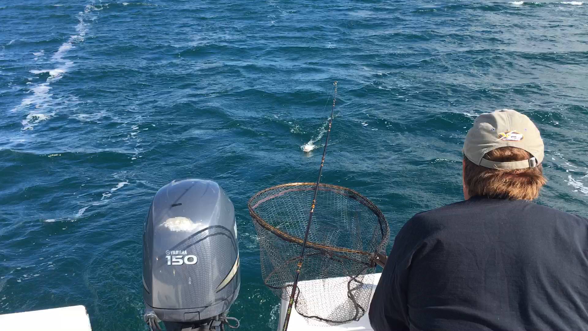 Lucky Buck Fishing – Oneida - Updated 2024 Prices