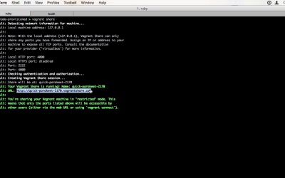 Easy Node.js Development Environment With Vagrant - Sharing Your Local Vagrant Instance