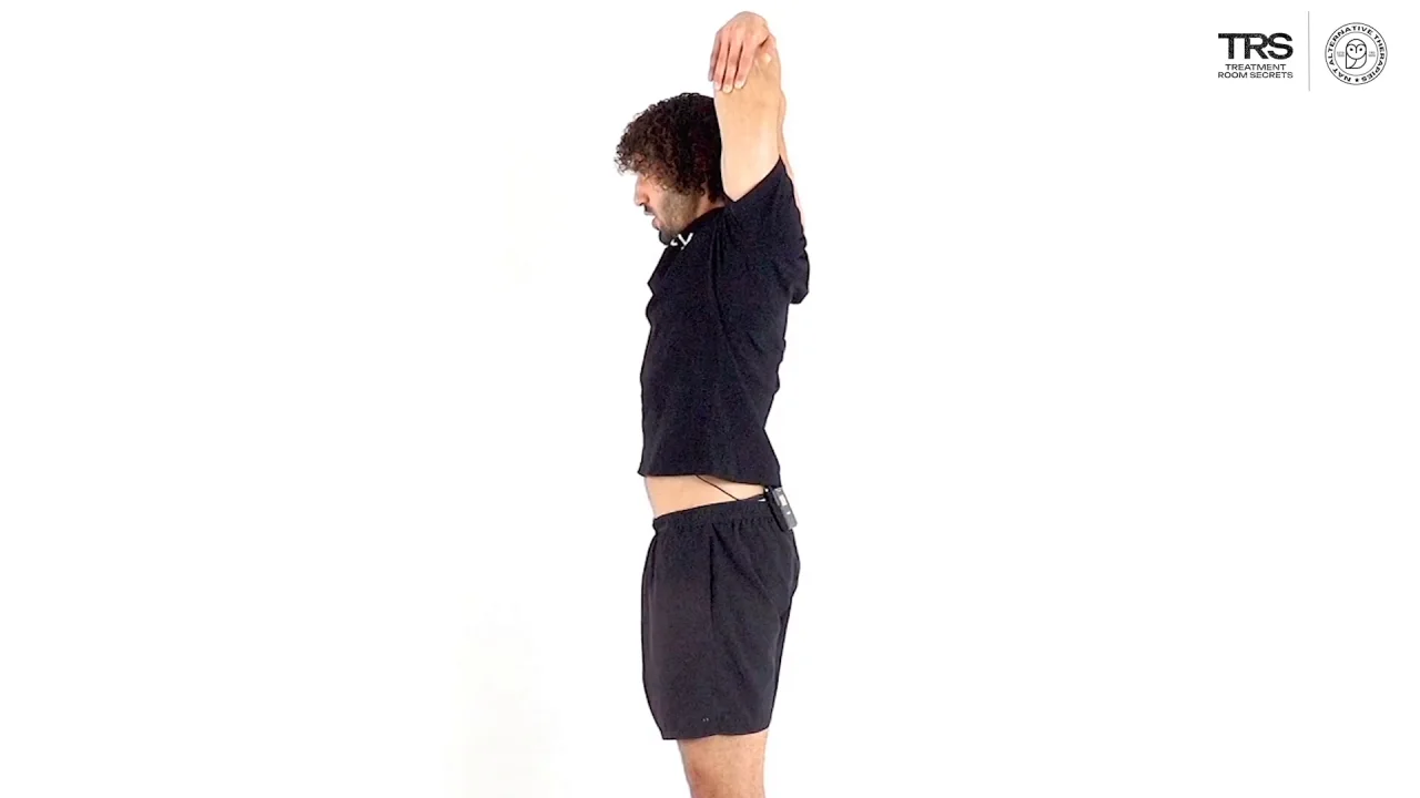 Overhead Triceps Stretch The 6 Best Triceps Exercises With Cable
