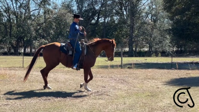 Carson James Buckaroo Crew