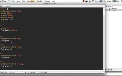 CSS: Flexbox Essentials - Column Widths