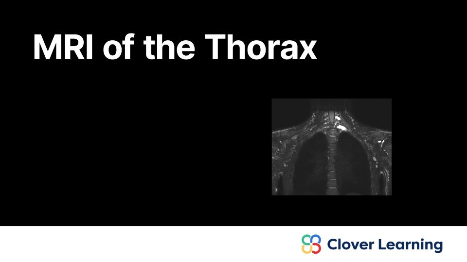 MRI Thorax (Anatomy) | Video Lesson | Clover Learning