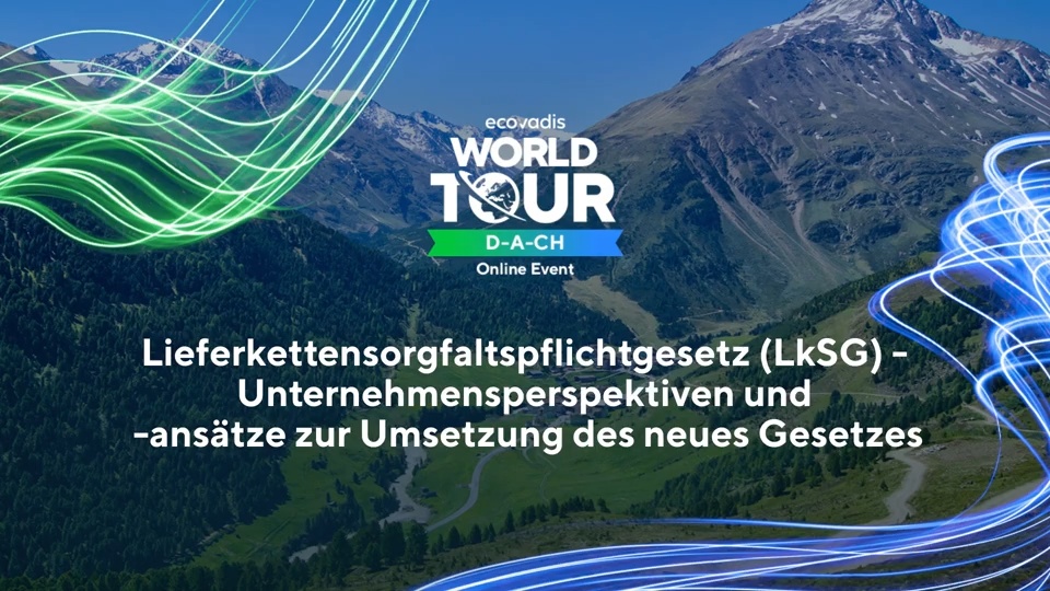 Lieferkettensorgfaltspflichtgesetz (LkSG) - Unternehmensperspektiven ...
